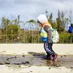 heartlands-redruth - Picniq Blog