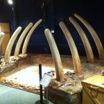 satrosphere-science-centre - Picniq Blog