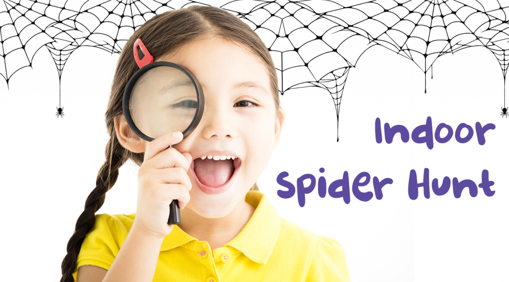 Indoor Spider Hunt - Picniq Blog