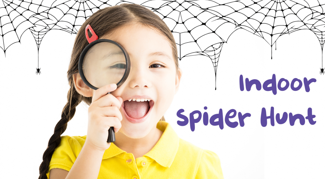 Indoor Spider Hunt - Picniq Blog