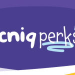 Perks Blog banner - Picniq Blog