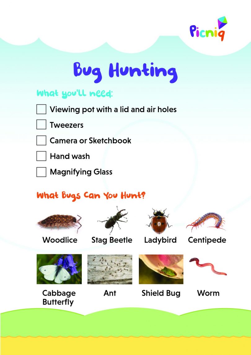 Bug Hunting: The Ultimate Guide - Picniq Blog