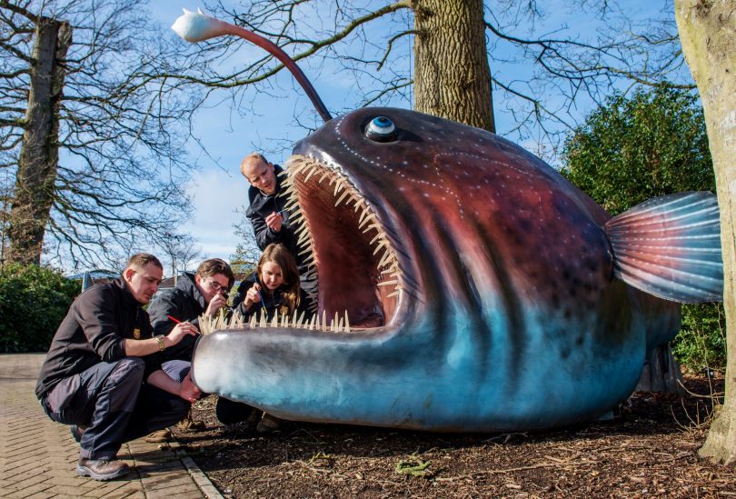 6 Reasons to visit Longleat this summer - Picniq Blog