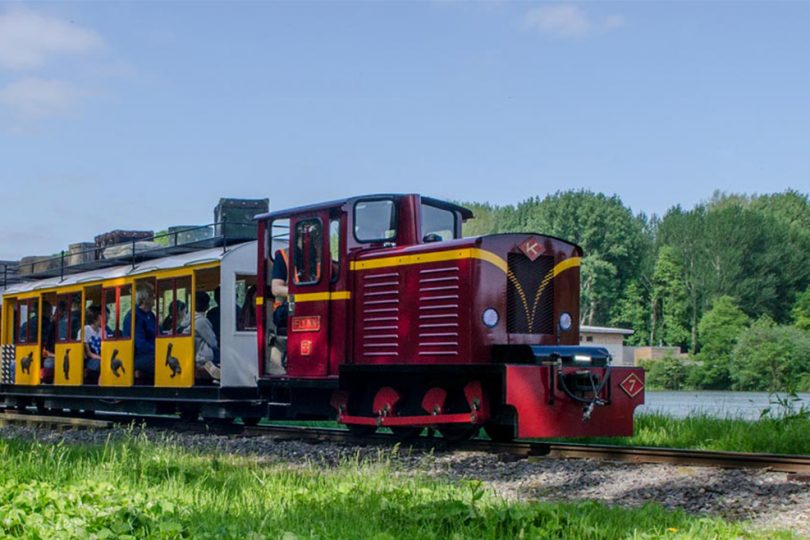 6 Reasons to visit Longleat this summer - Picniq Blog