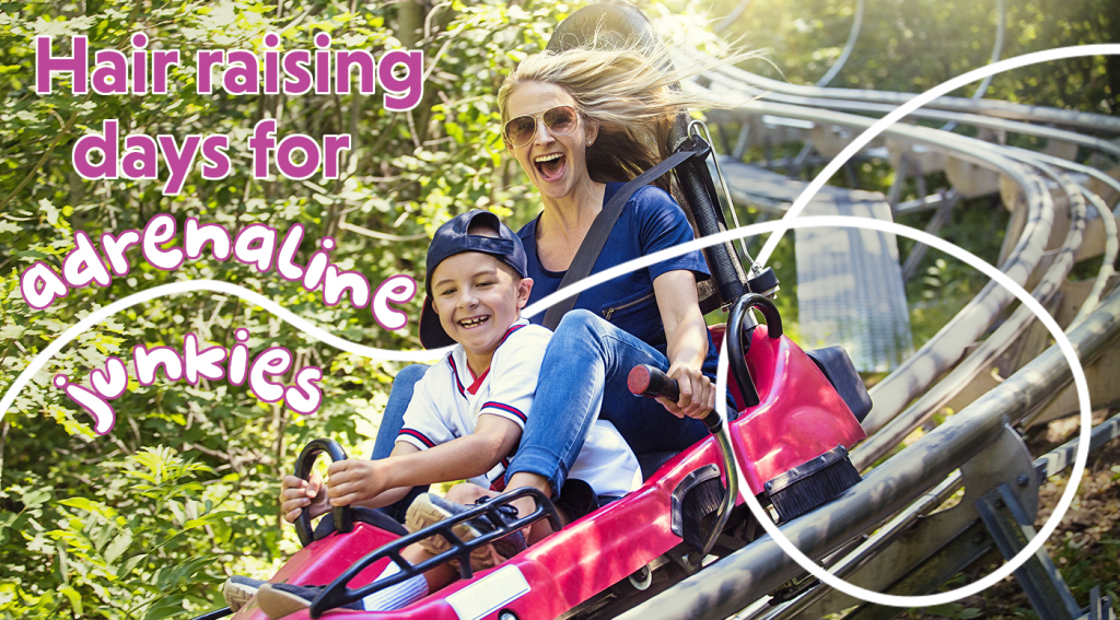 Hair raising days out for Adrenaline Junkies - Picniq Blog