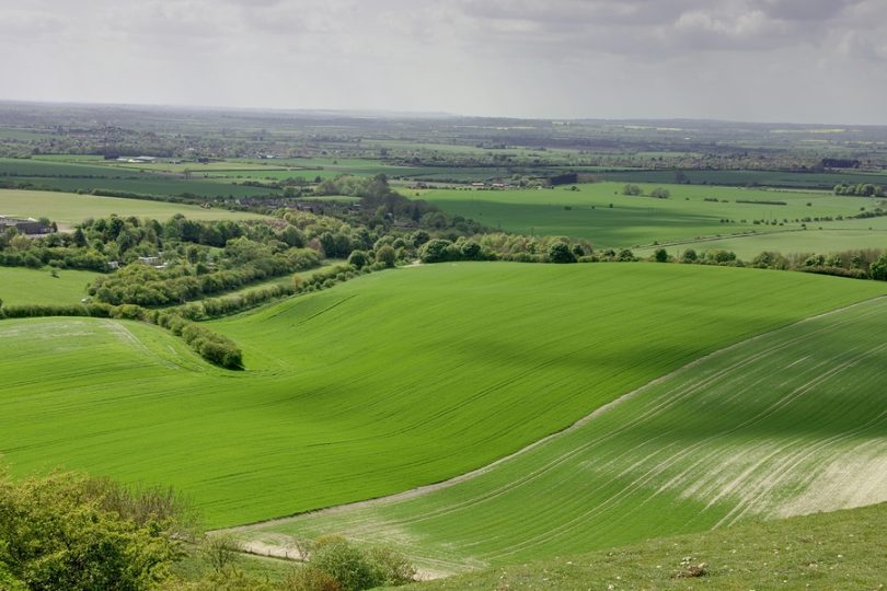 Birds Eye View Over Dunstable Downs - Picniq Blog
