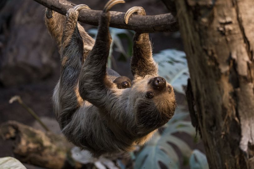 Things to do on Boxing Day - Picniq Blog