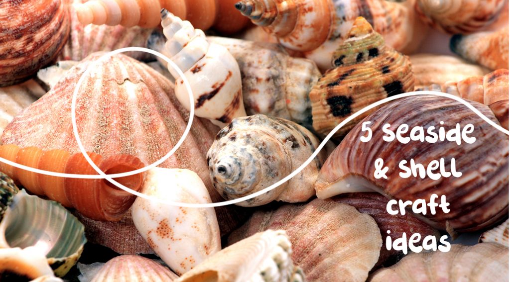 5 Seaside and Shell Craft Ideas - Picniq Blog