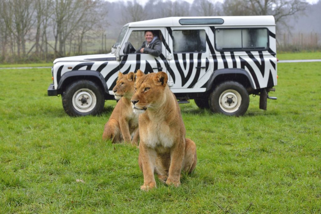 The 15 Best UK Attractions For Animal Lovers! - Picniq Blog
