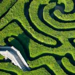 hedge-hero_original_original_474x316 - Picniq Blog