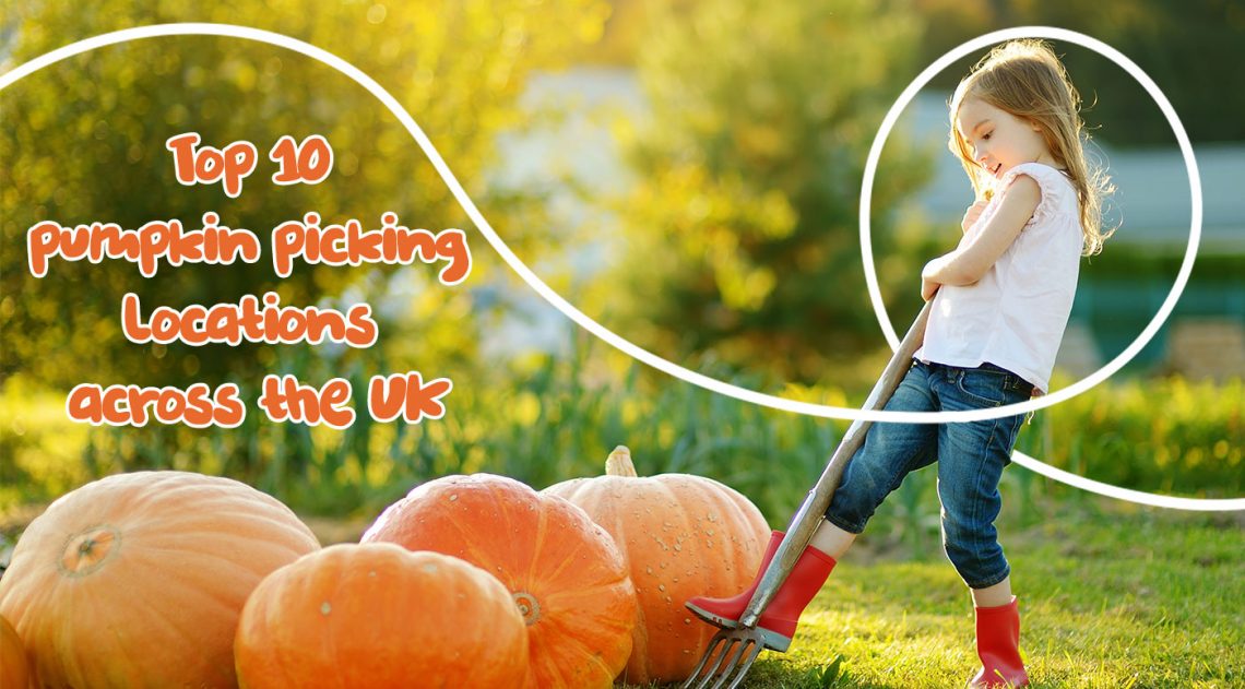 Top 10 pumpkin picking locations across the UK - Picniq Blog