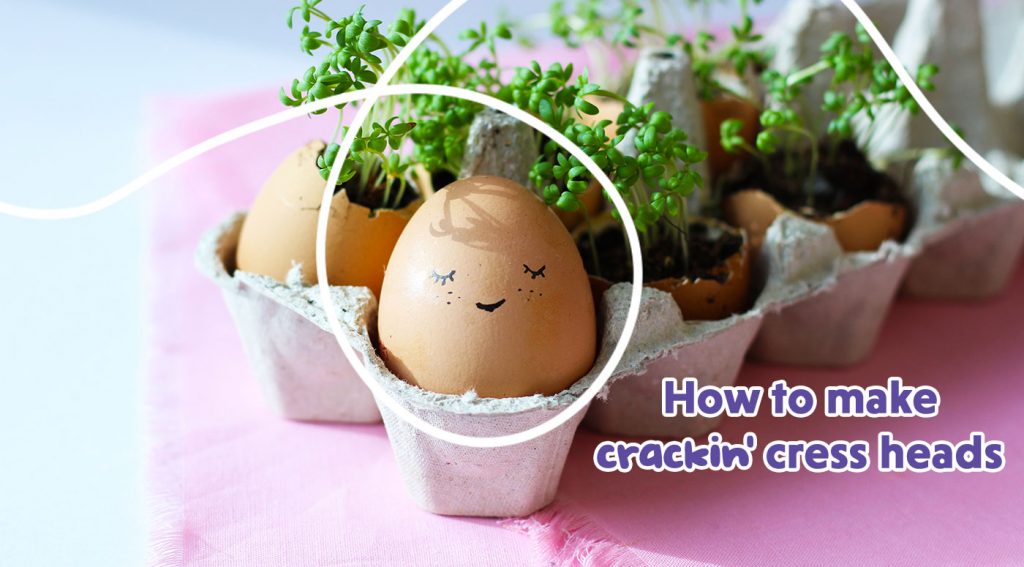 How to make crackin' cress heads! - Picniq Blog