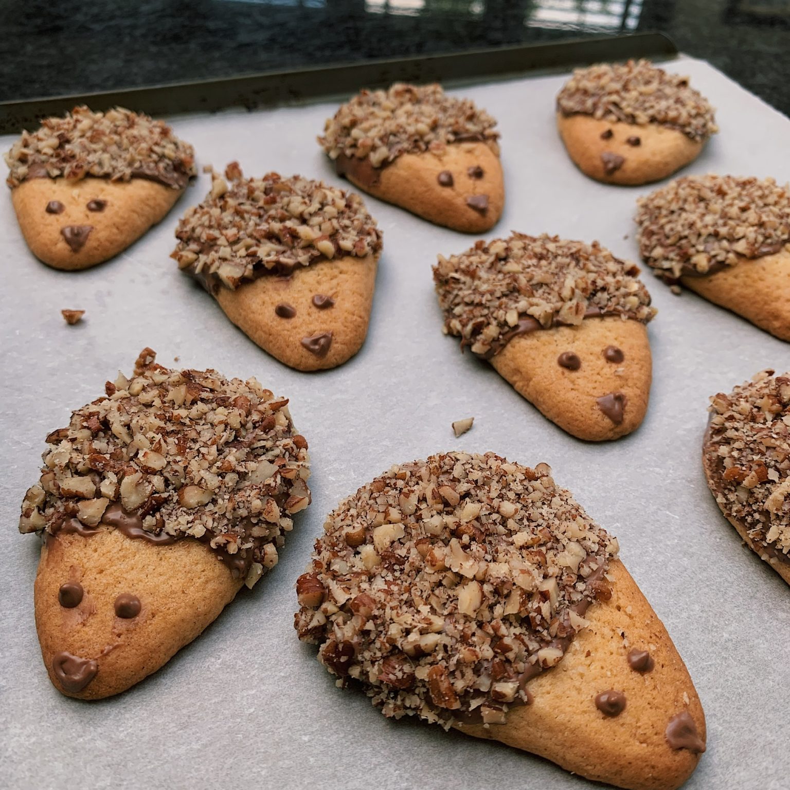 How to make Hedgehog biscuits - Picniq Blog
