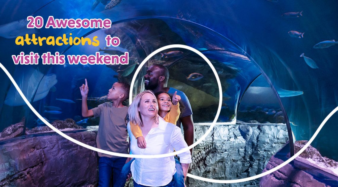 20 Awesome attractions to visit this weekend - Picniq Blog