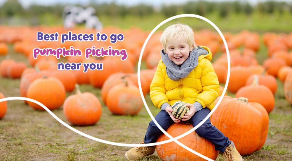 Best places to go pumpkin picking near you - Picniq Blog