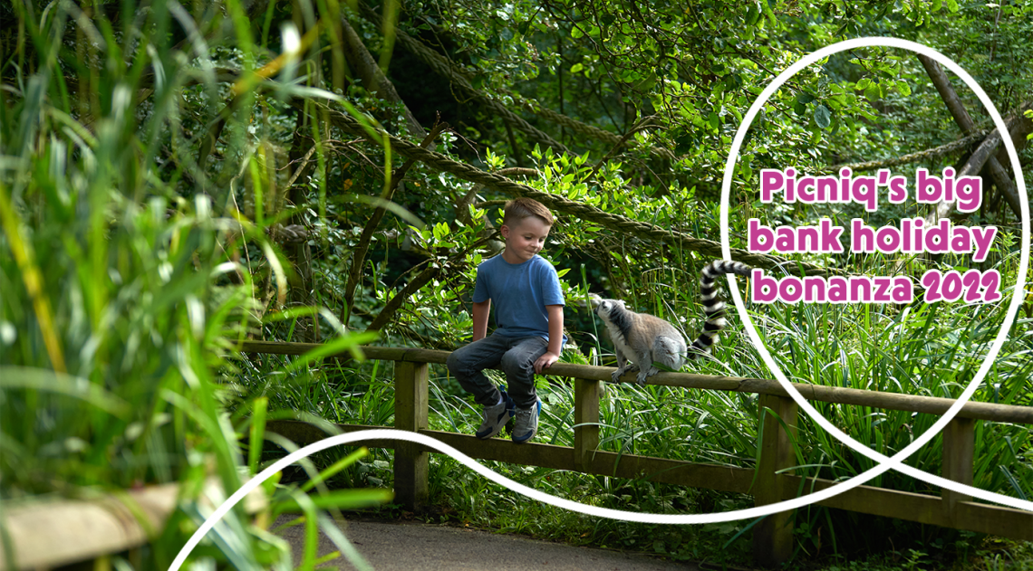 Picniq's big bank holiday bonanza 2022 - Picniq Blog