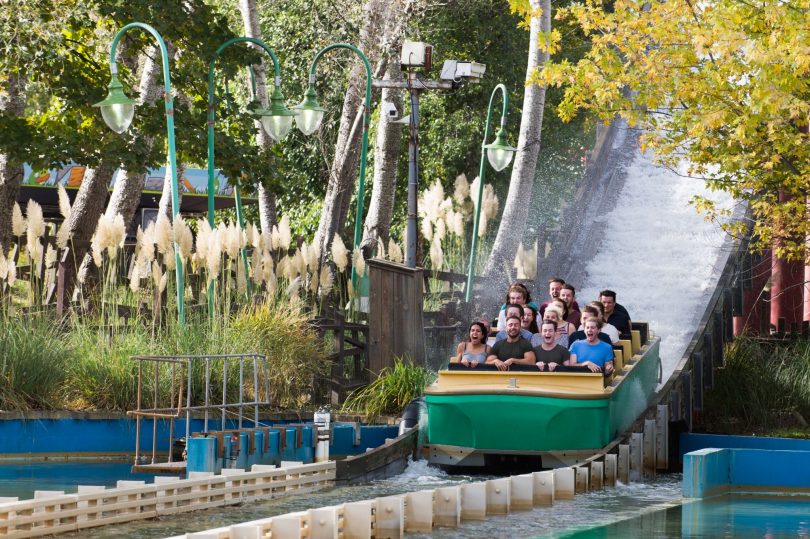 5 reasons you NEED to visit Thorpe Park Resort this summer! - Picniq Blog