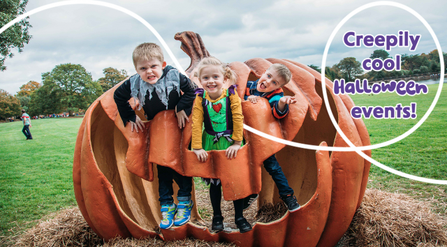 Creepily cool Halloween events! - Picniq Blog