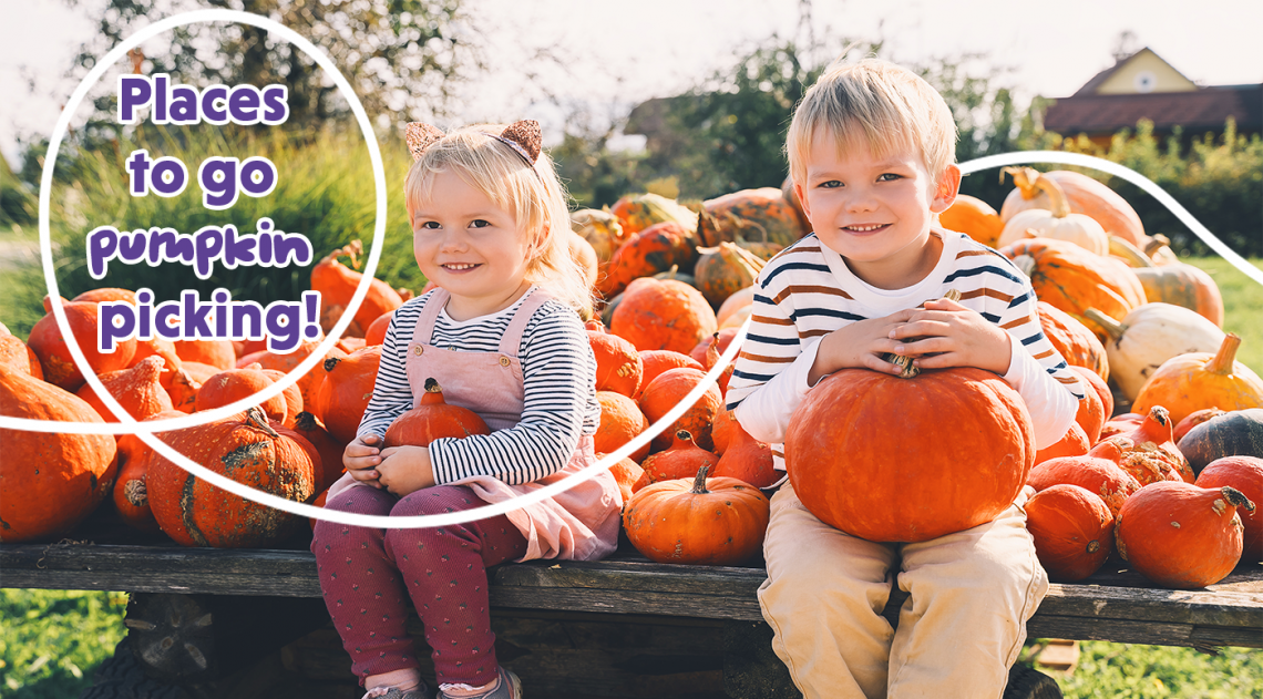 Places to go pumpkin picking! - Picniq Blog