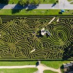Longleat Hedge Maze (5) - Picniq Blog