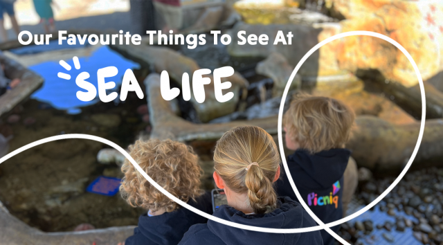 Our Favourite Things To See At SEA LIFE - Picniq Blog