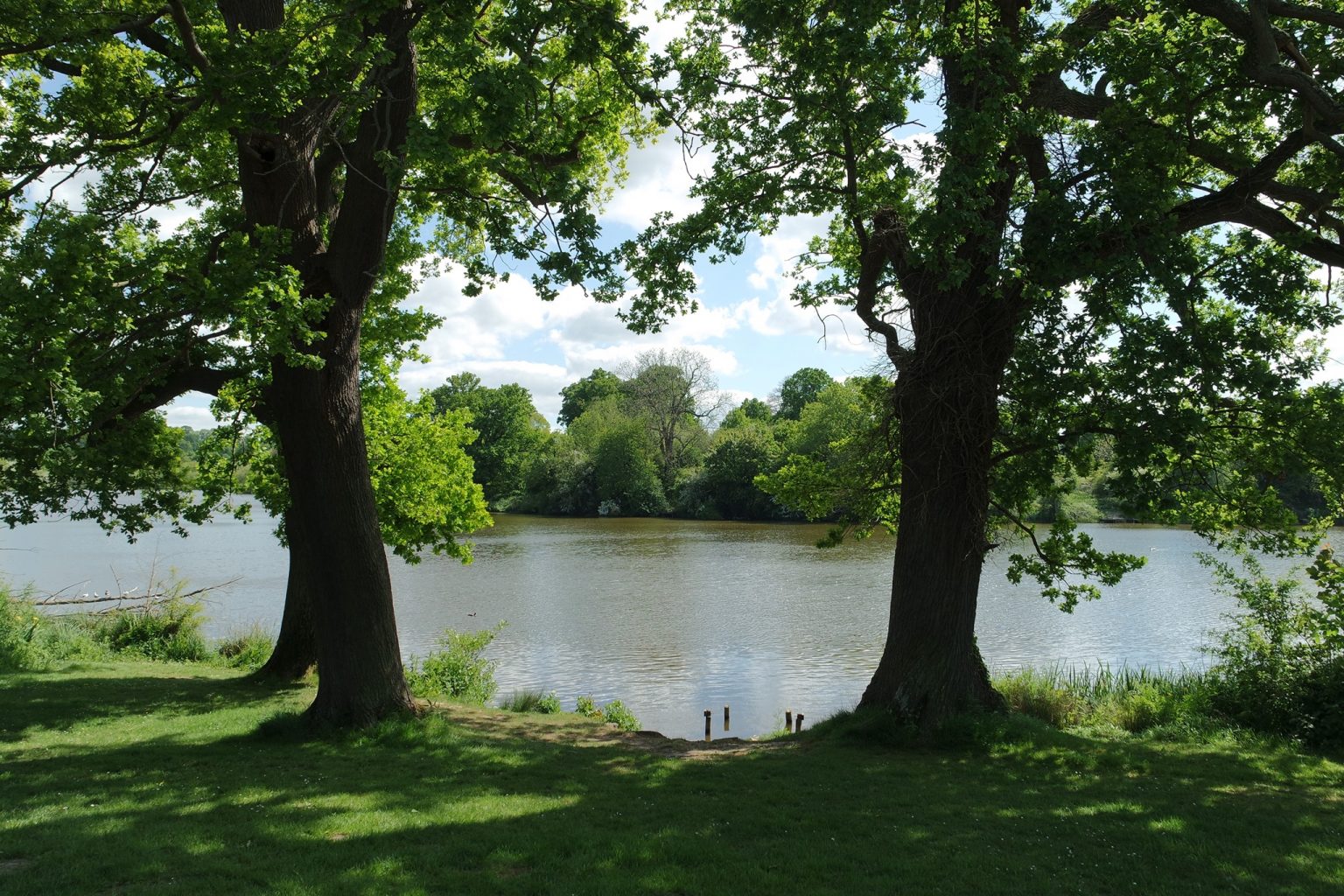 Free Things to Do in Kent - Picniq Blog