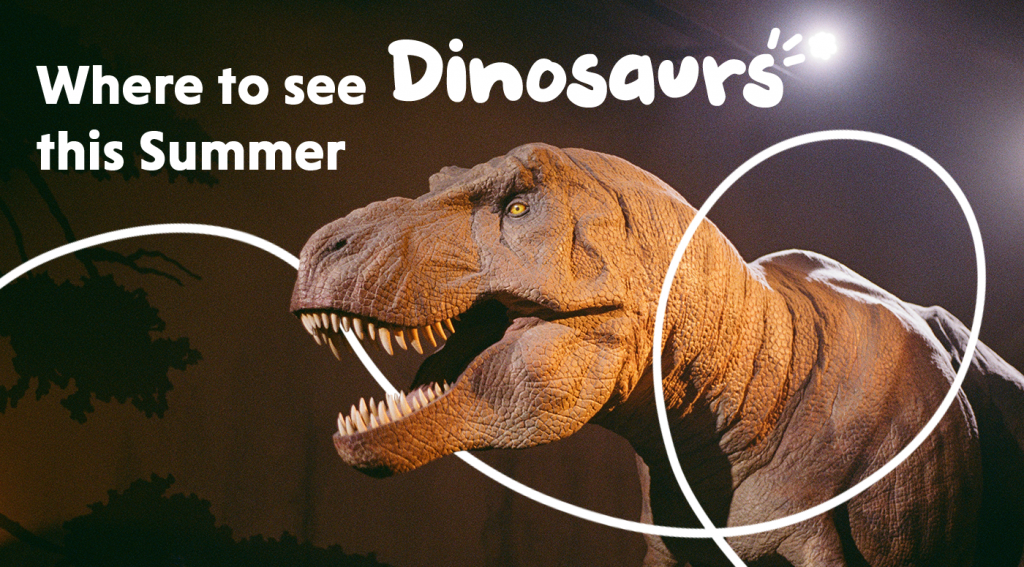 Where to see Dinosaurs this Summer - Picniq Blog