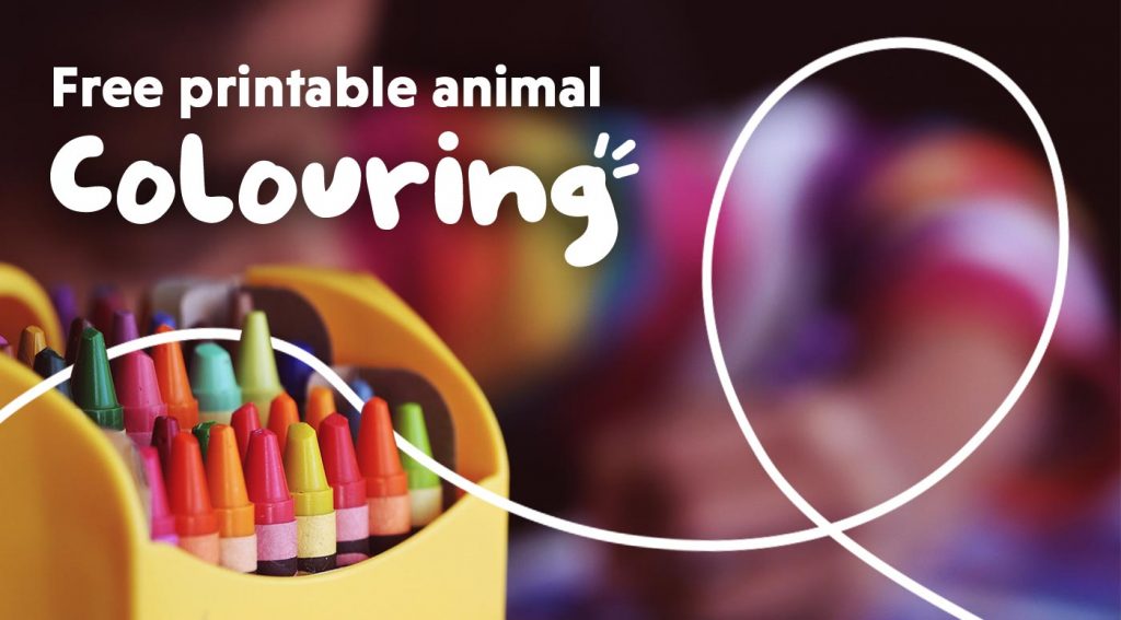 Free Printable Animal Colouring - Picniq Blog