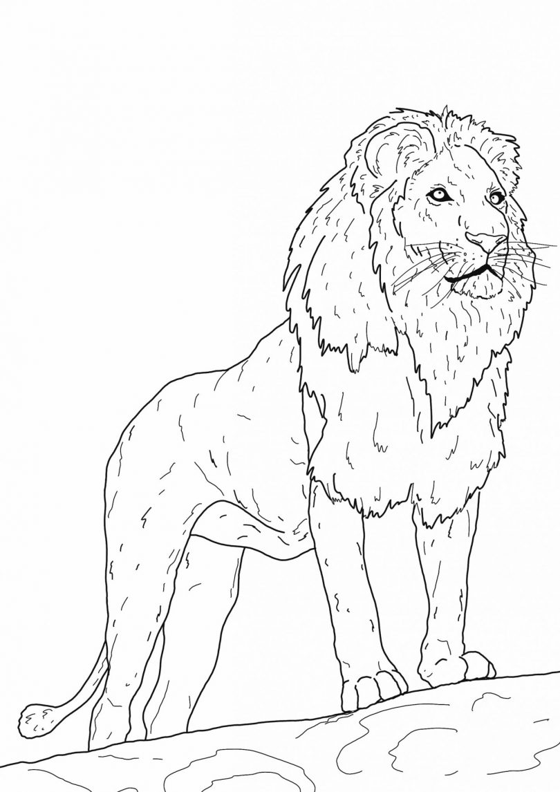 Free Printable Animal Colouring - Picniq Blog
