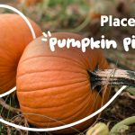 places-to-go-pumpkin-picking - Picniq Blog