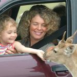 longleat - Picniq Blog