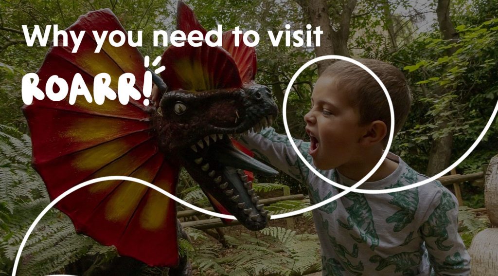 Why You Need to Visit ROARR! - Picniq Blog