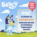bluey-banham-zoo - Picniq Blog