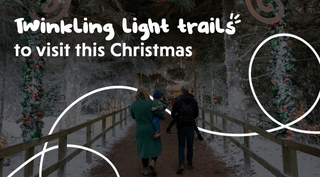 Twinkling Light Trails to Visit This Christmas - Picniq Blog