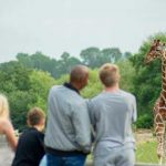 africa-alive - Picniq Blog